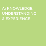 Professional Registration - The Cyber Scheme